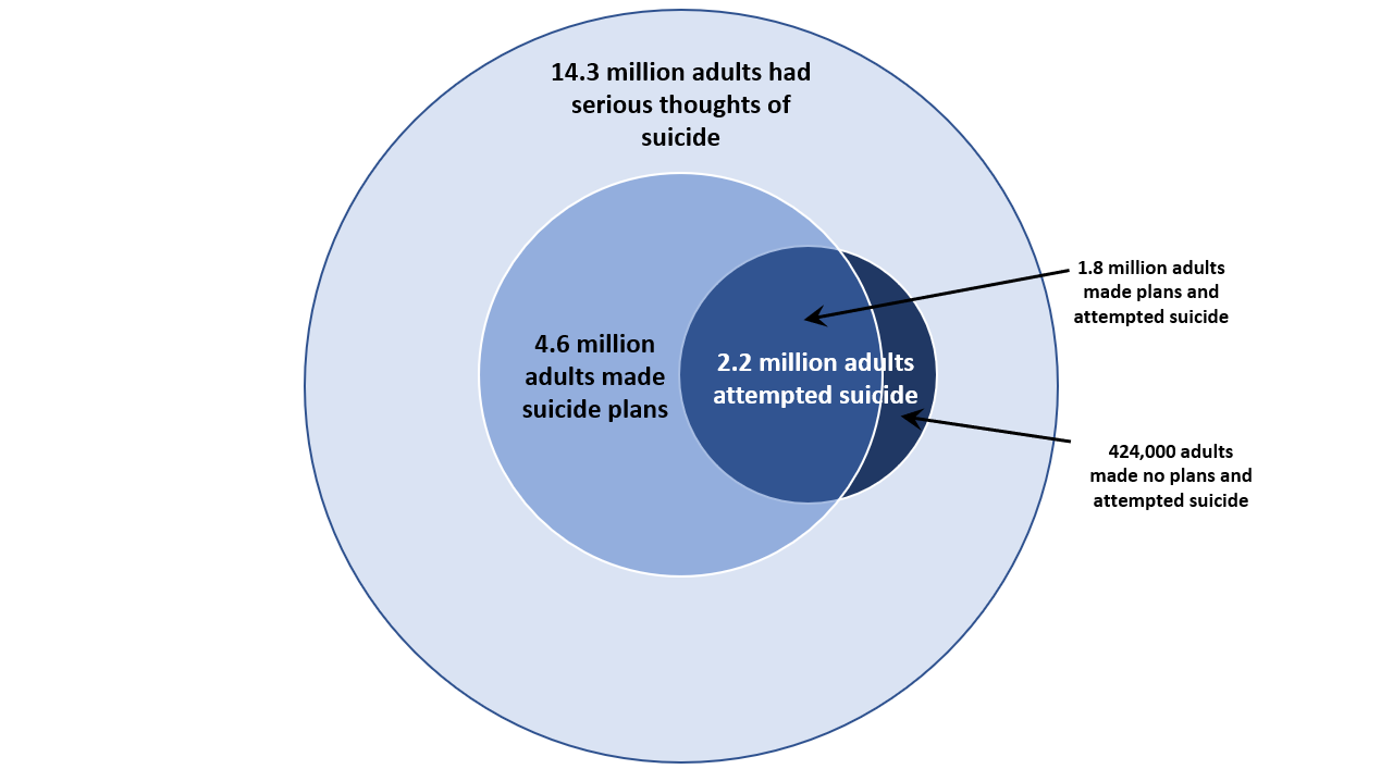 suicide pie chart