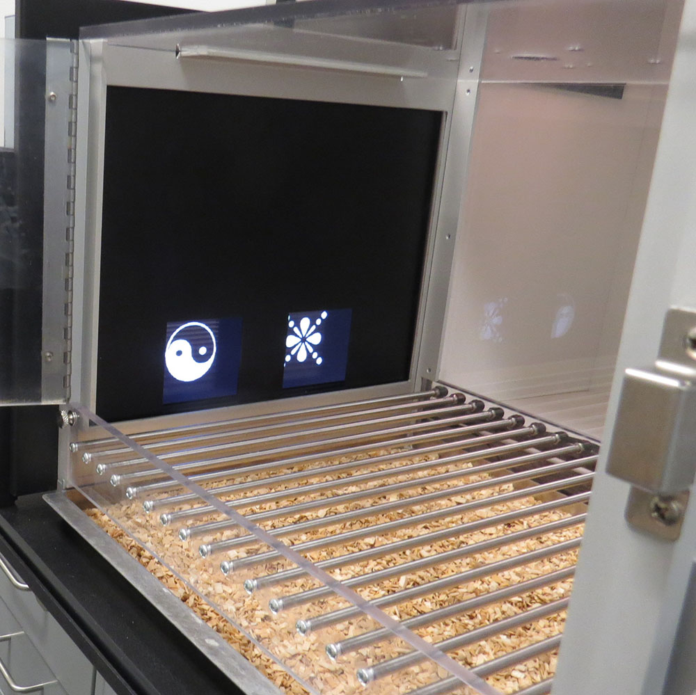 Photos - National Institute of Mental Health (NIMH)