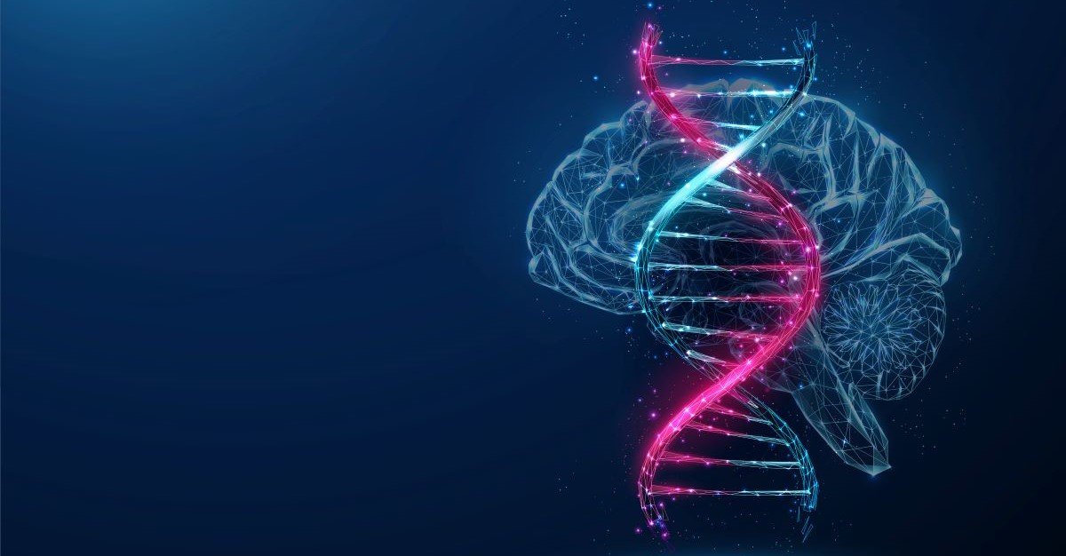 Scientists Map Networks Regulating Gene Function in the Human Brain ...