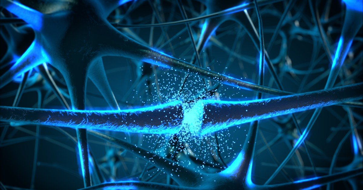 Researchers Find Order in the Language of the Brain - National ...